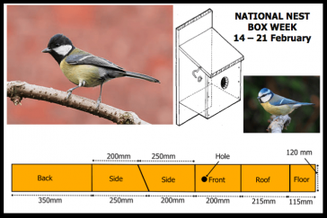 The Bird Box | Spire Maths