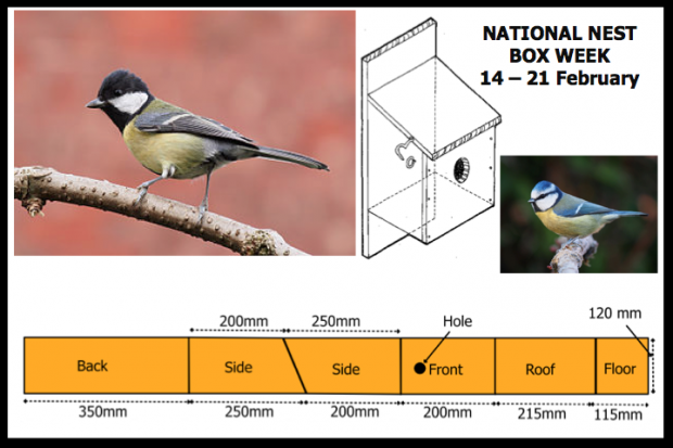 The Bird Box | Spire Maths